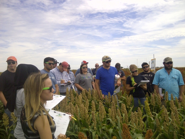 Plant, Soil and Environmental Science Program | WTAMU